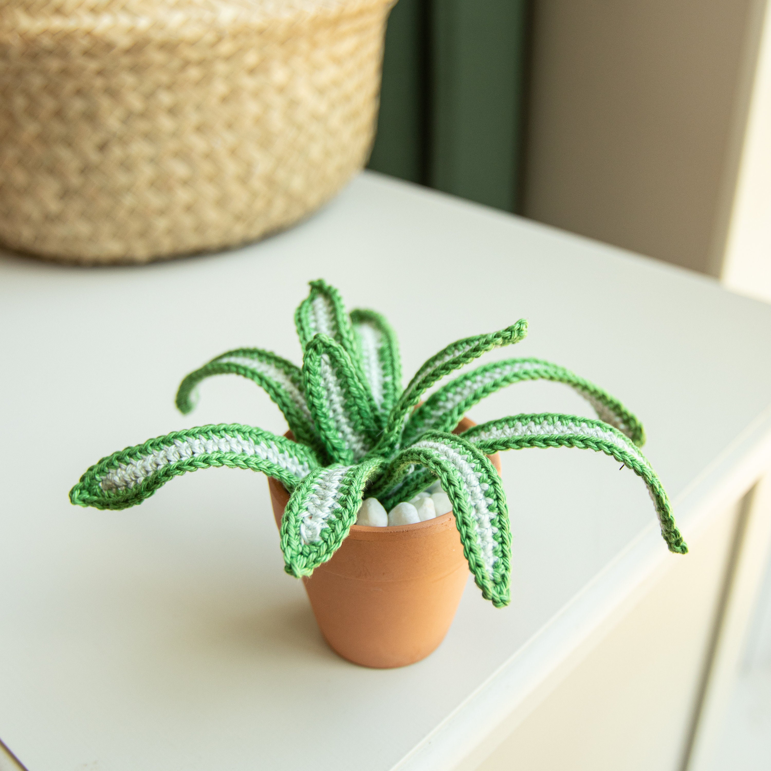 Spider Plant Crochet Pattern Amigurumi Houseplant - Etsy