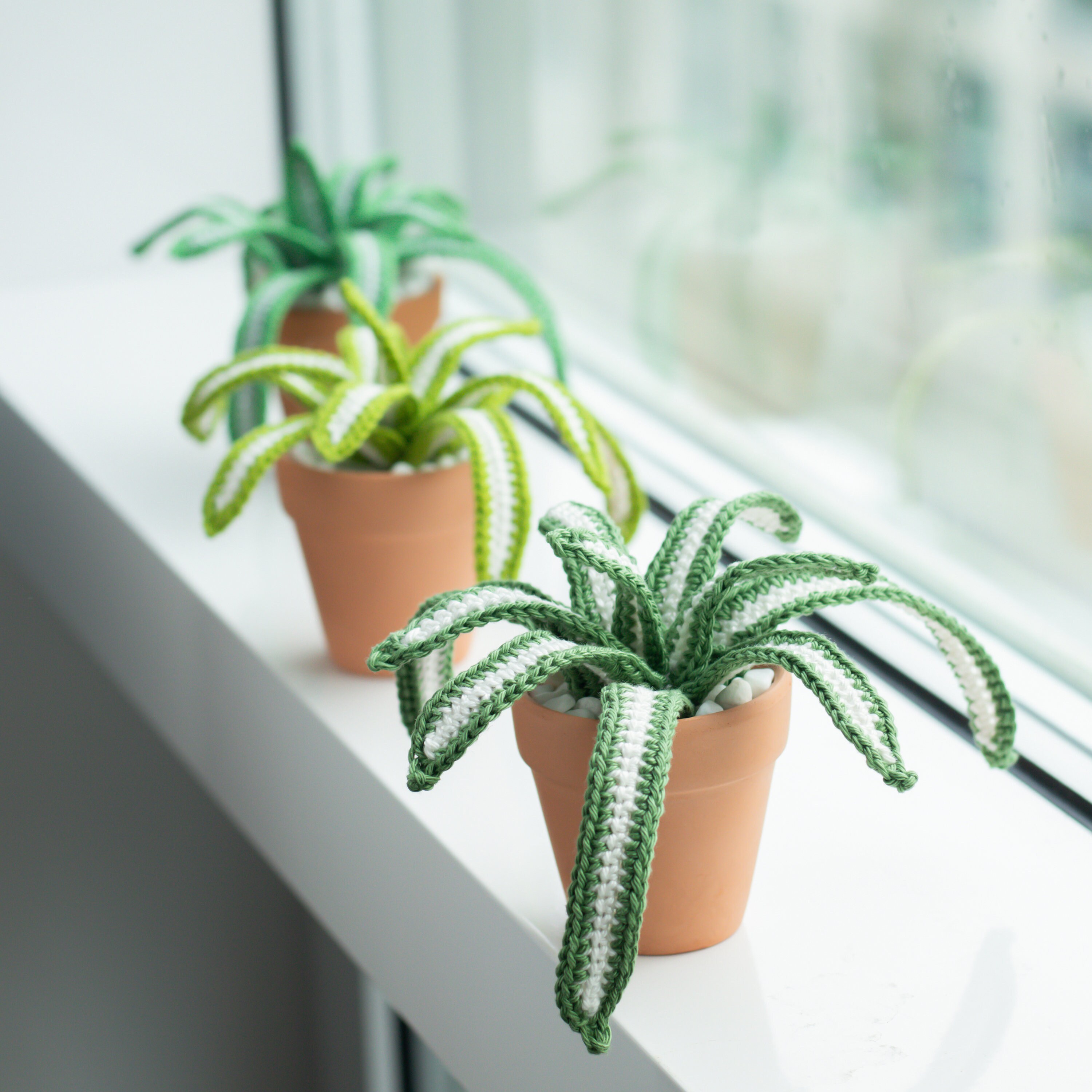 Spider Plant US Crochet Pattern Amigurumi Houseplant Chlorophytum ...