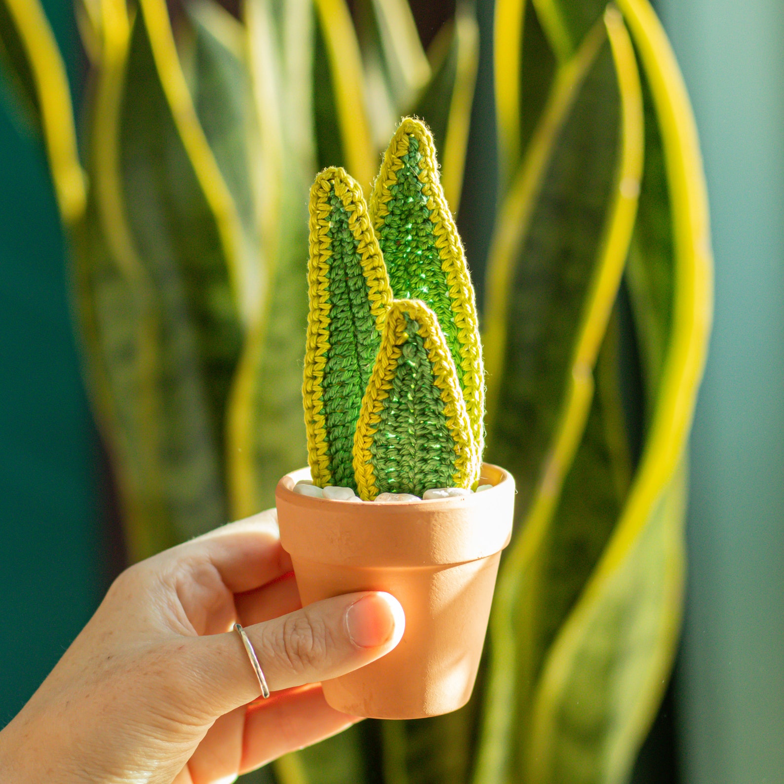 Snake Plant Crochet Pattern Amigurumi Houseplant | Etsy