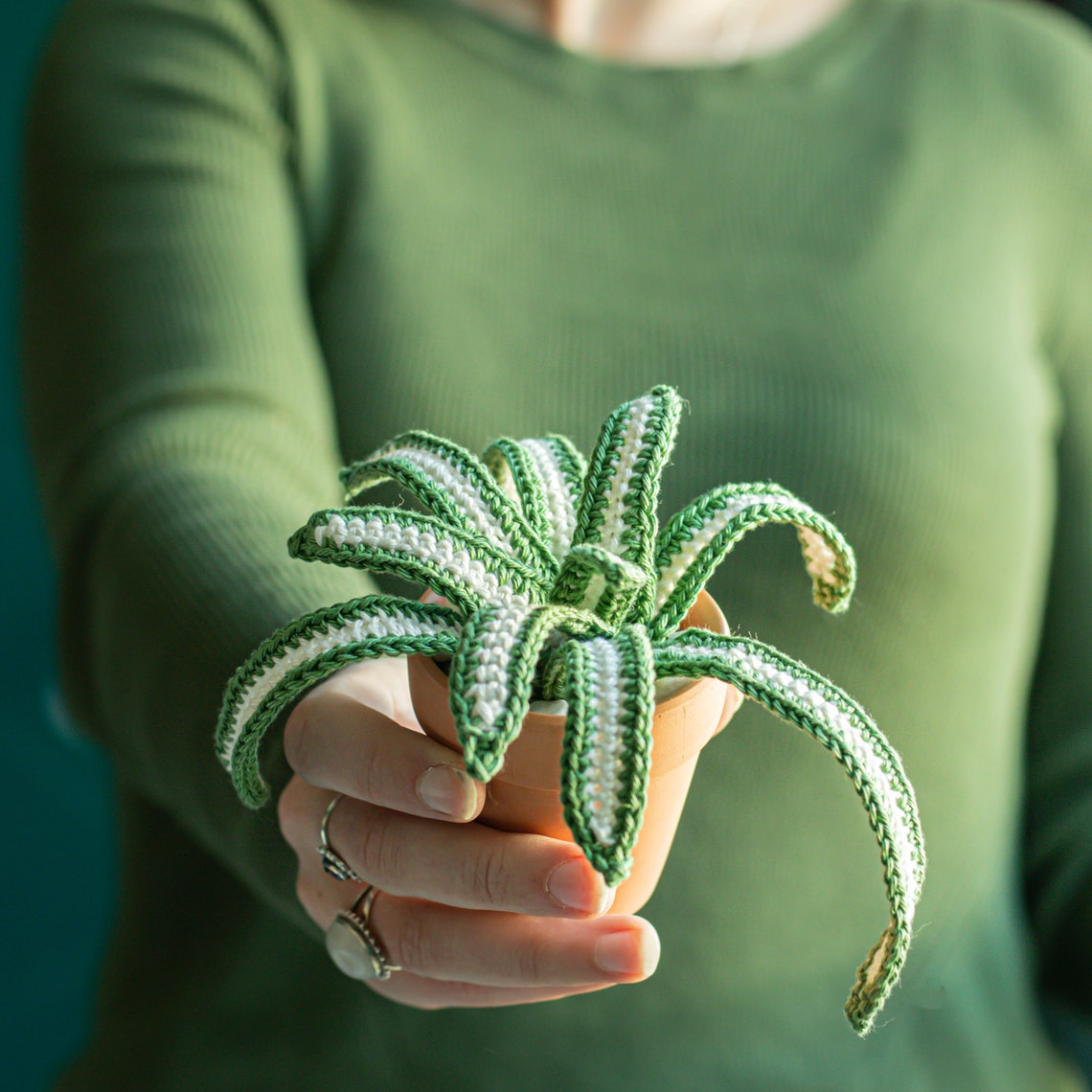 Spider Plant Crochet Pattern Amigurumi Houseplant - Etsy