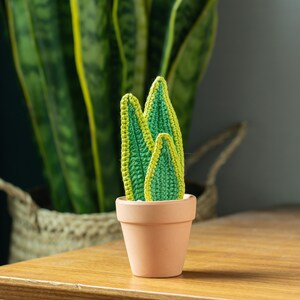 Snake Plant Crochet Pattern | Amigurumi Houseplant | Sansevieria - Etsy