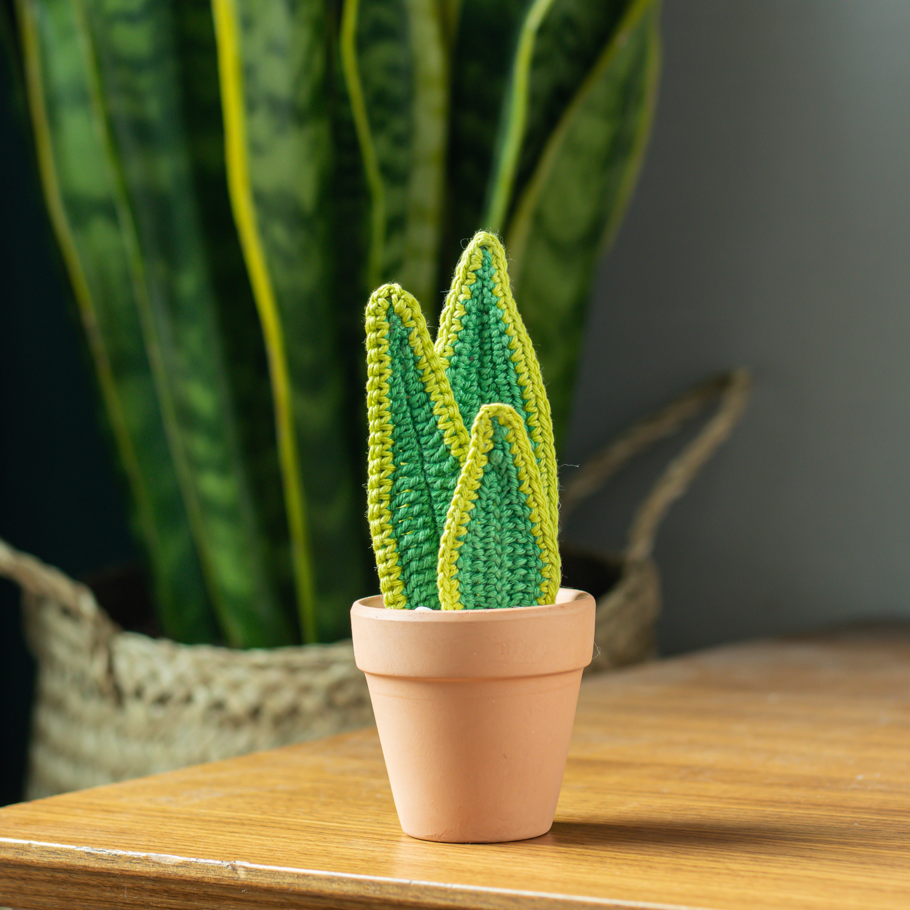 Snake Plant US Crochet Pattern Amigurumi Houseplant Sansevieria - Etsy