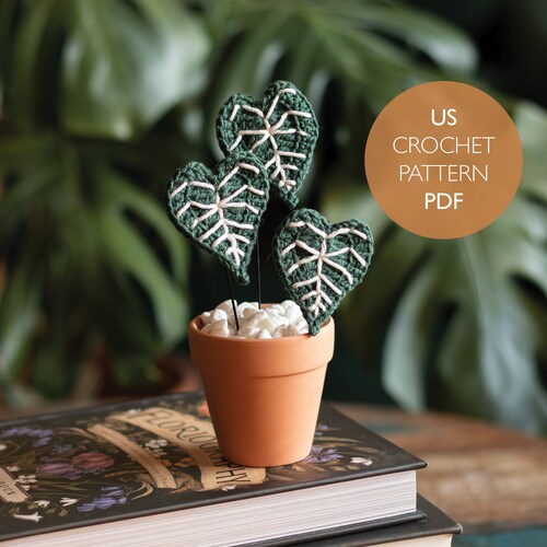 Spider Plant Crochet Pattern Amigurumi Houseplant - Etsy
