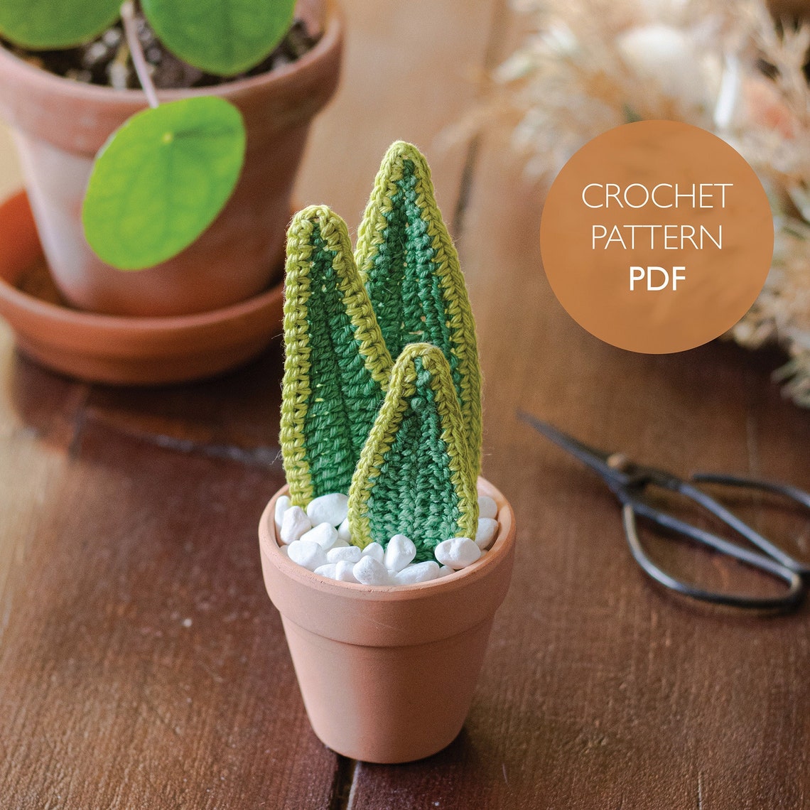 Snake Plant Crochet Pattern Amigurumi Houseplant | Etsy