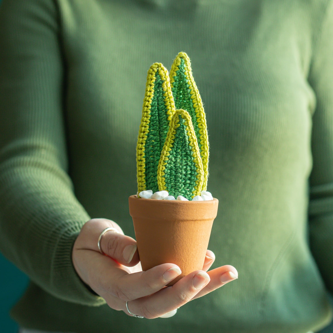 Snake Plant Crochet Pattern Amigurumi Houseplant | Etsy