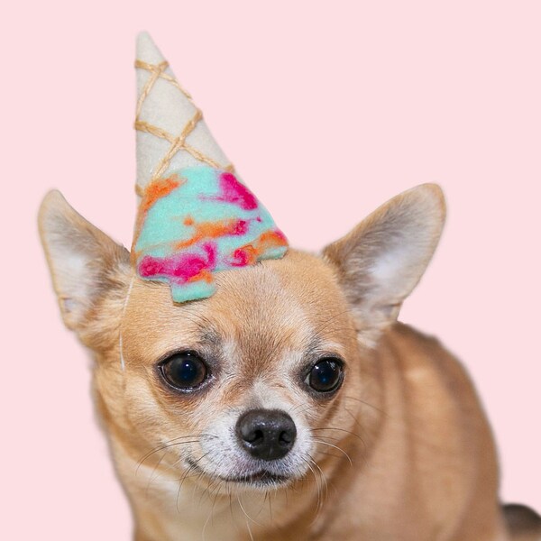 Ice Cream Cone Hat - Etsy