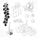 Set of 50 Hand-drawn Berries,png Berries Clipart, SVG Berries Clipart ...