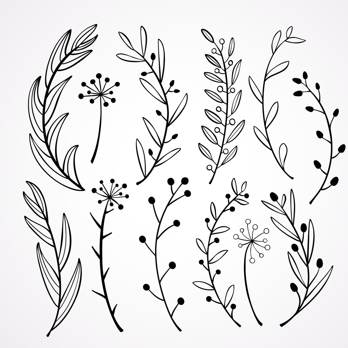 Set of 50 Doodle Botanical Elements, SVG Floral Clipart,png Doodle ...