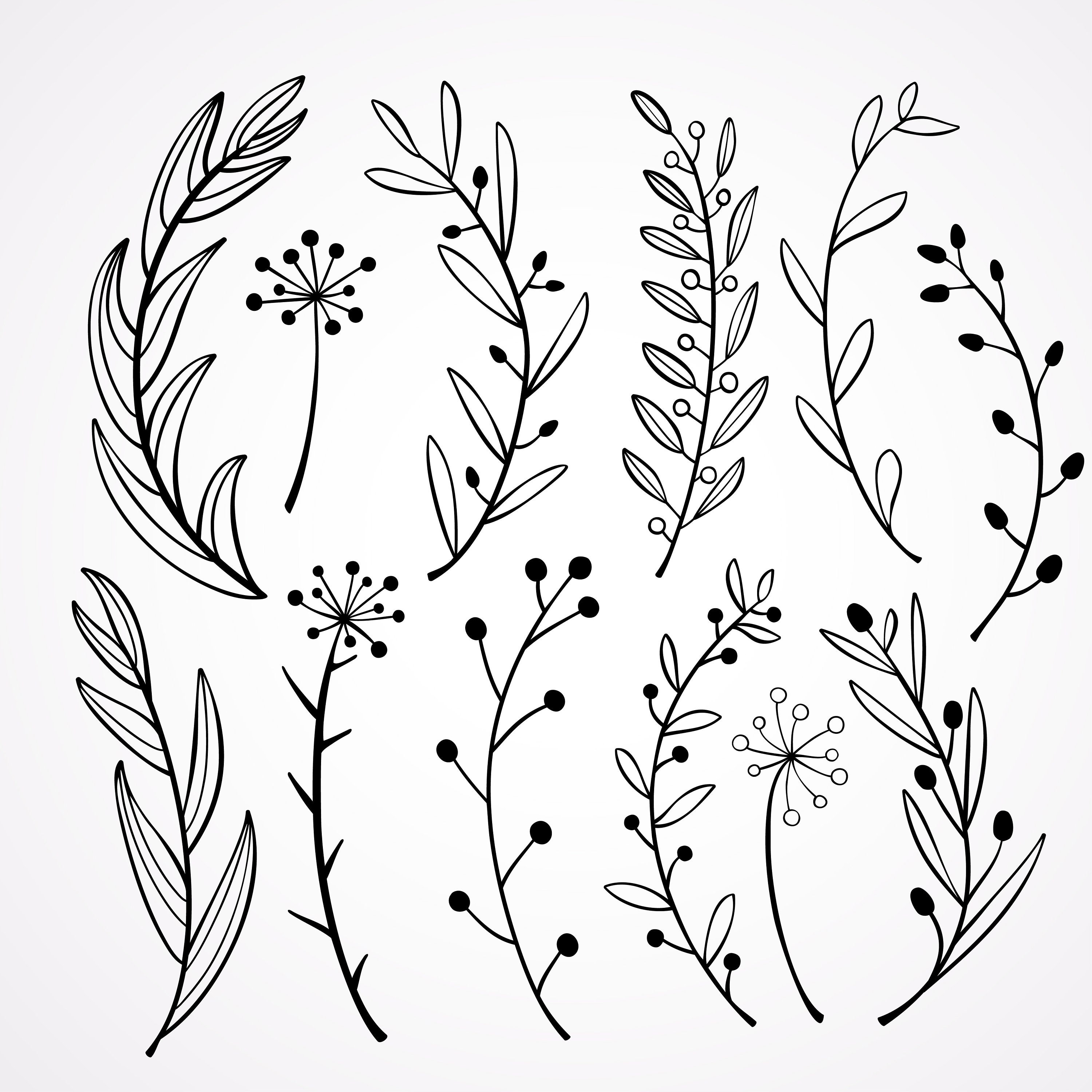 Set of 50 Doodle Botanical Elements, SVG Floral Clipart,png Doodle ...