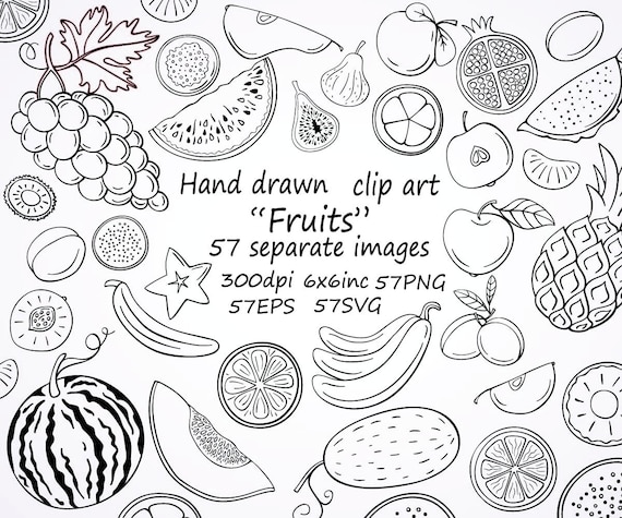 Hand-drawn Fruits Clipart 57 Separate Images Fruits - Etsy