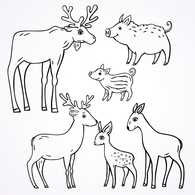 Doodle Forest Animals Clipart,28 Separete SVG, PNG, EPS Images.woodland ...