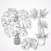 Hand-drawn house Plants clipart, SVG Plants Clipart,png Plants Clipart ...