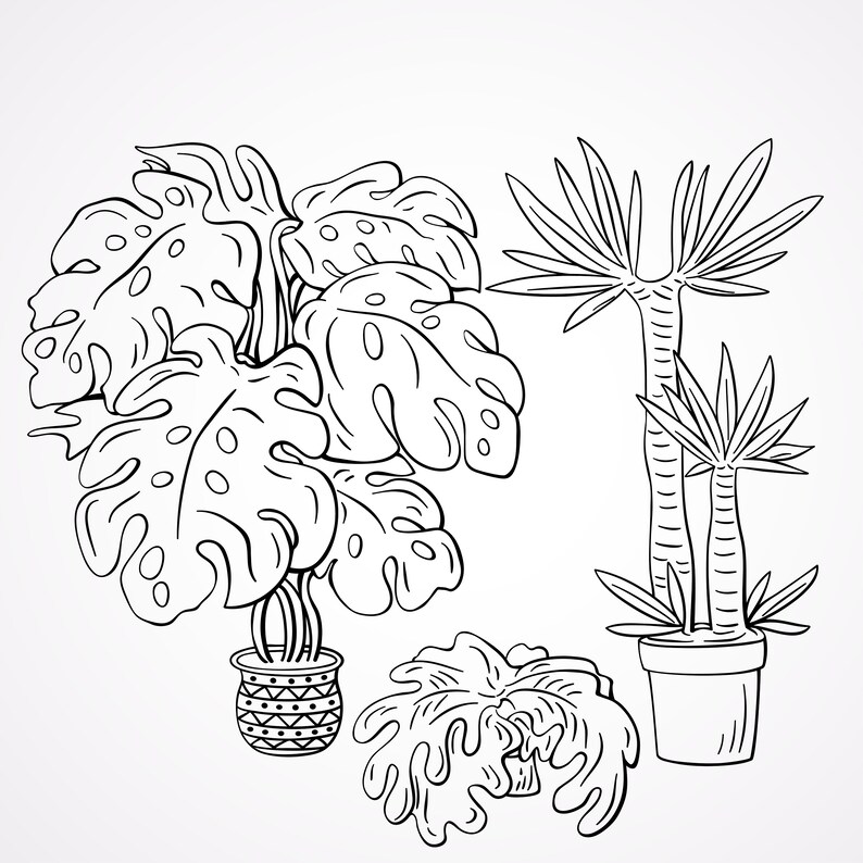 Hand-drawn "house Plants "clipart, SVG Plants Clipart,png Plants ...