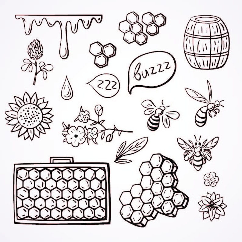 Hand-drawn Honey and Bee Clipart,27 Separete Images, 6x6inc,png, SVG ...