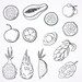 Hand-drawn Fruits Clipart, 57 Separate Images Fruits SVG,PNG,EPS ...