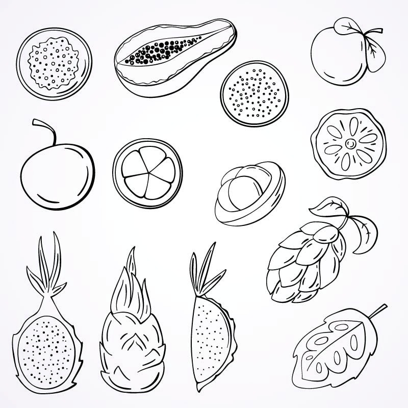 Hand-drawn Fruits Clipart, 57 Separate Images Fruits SVG,PNG,EPS ...