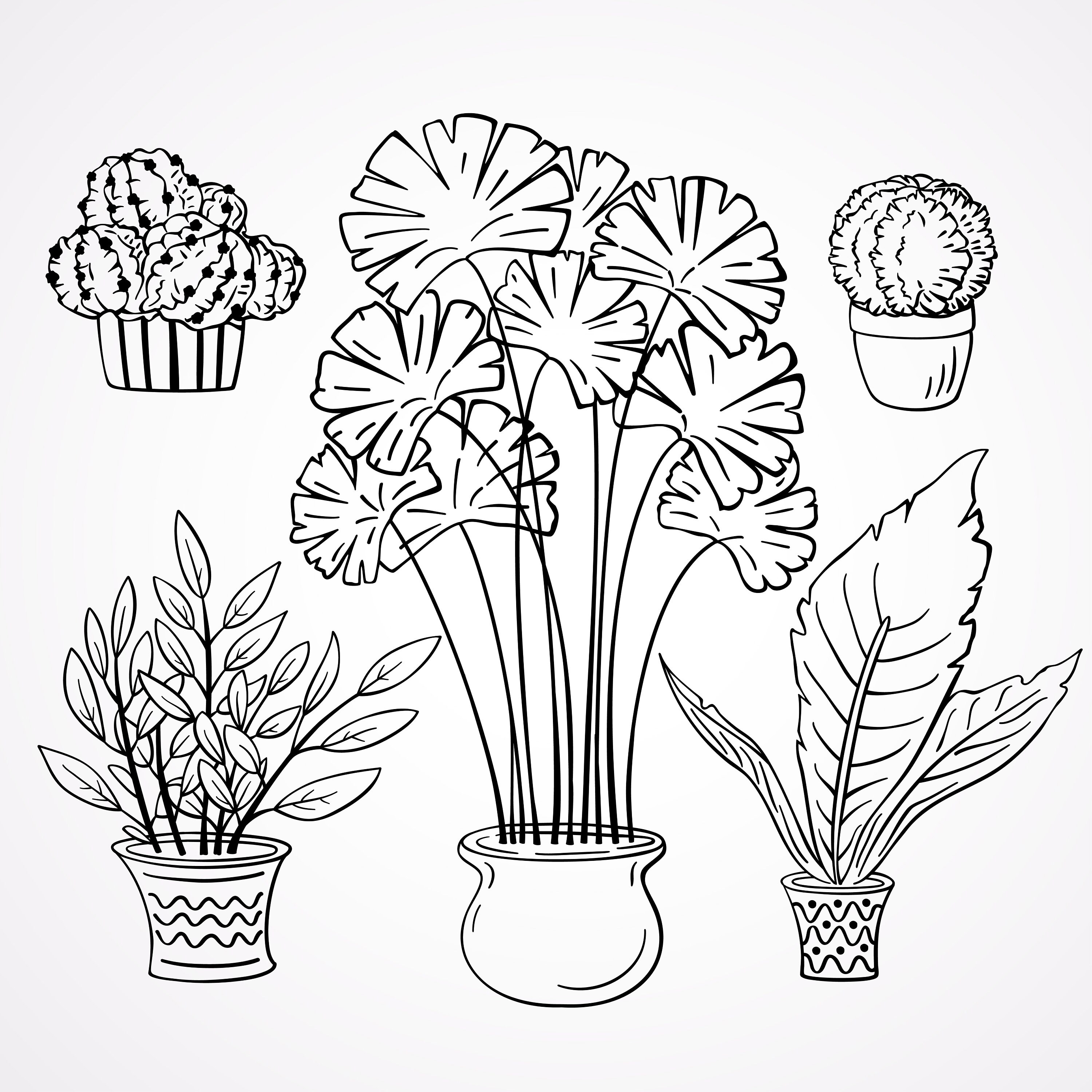 Hand-drawn "house Plants "clipart, SVG Plants Clipart,png Plants ...