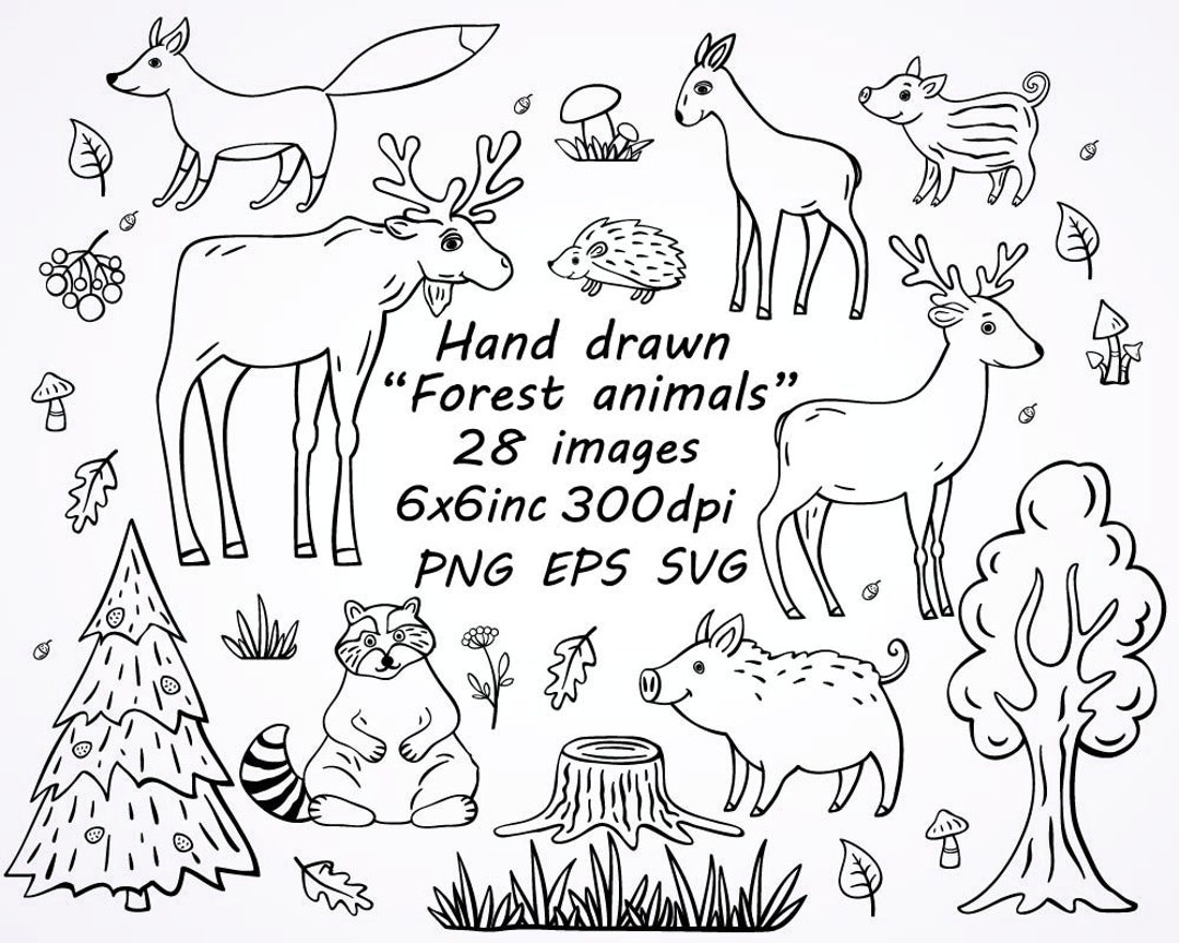 Doodle Forest Animals Clipart,28 Separete SVG, PNG, EPS Images.woodland ...