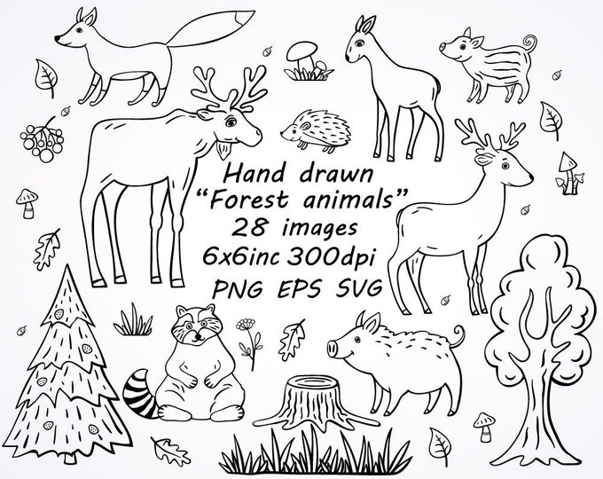 Woodland Animals Clipart, Forest Animal, Wild Cute Animal, Outline ...