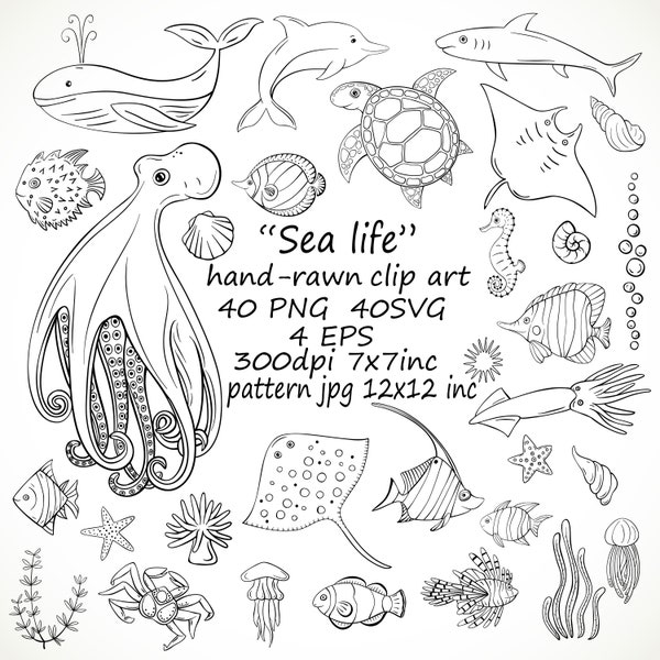 Sea Life Drawing - Etsy