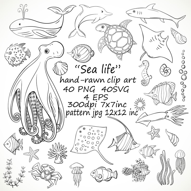 Hand-drawn "sea Life" Clipart,svg Sea Animals Clipart,png Ocean Life ...