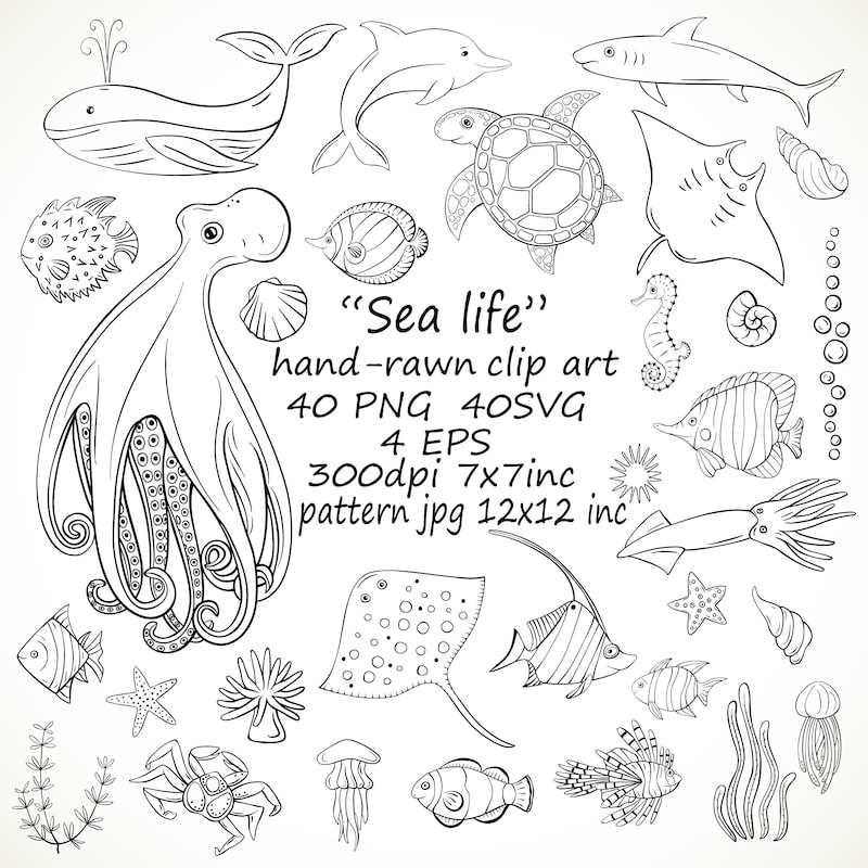 Sea Life Drawing - Etsy