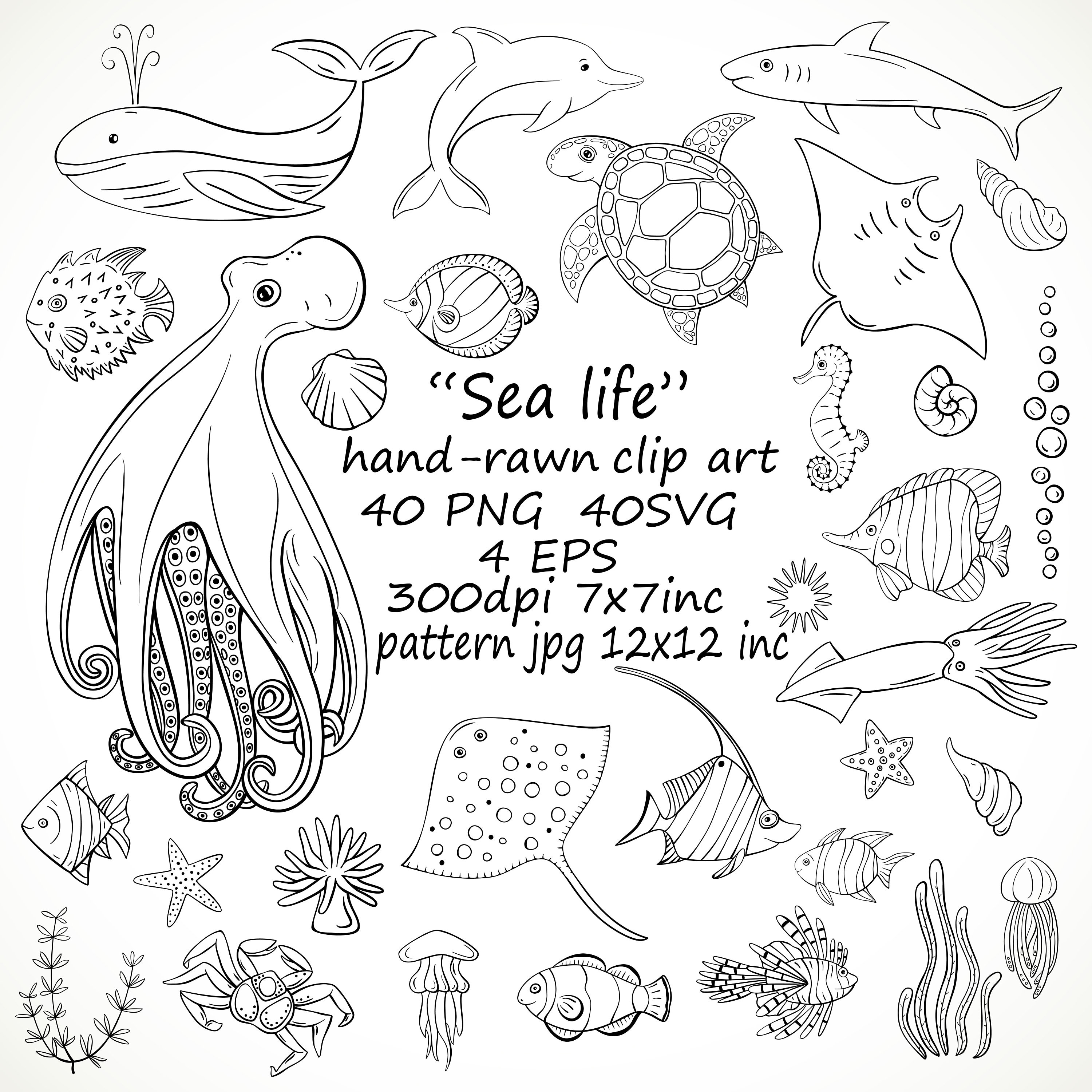Hand-drawn "sea Life" Clipart,svg Sea Animals Clipart,png Ocean Life ...
