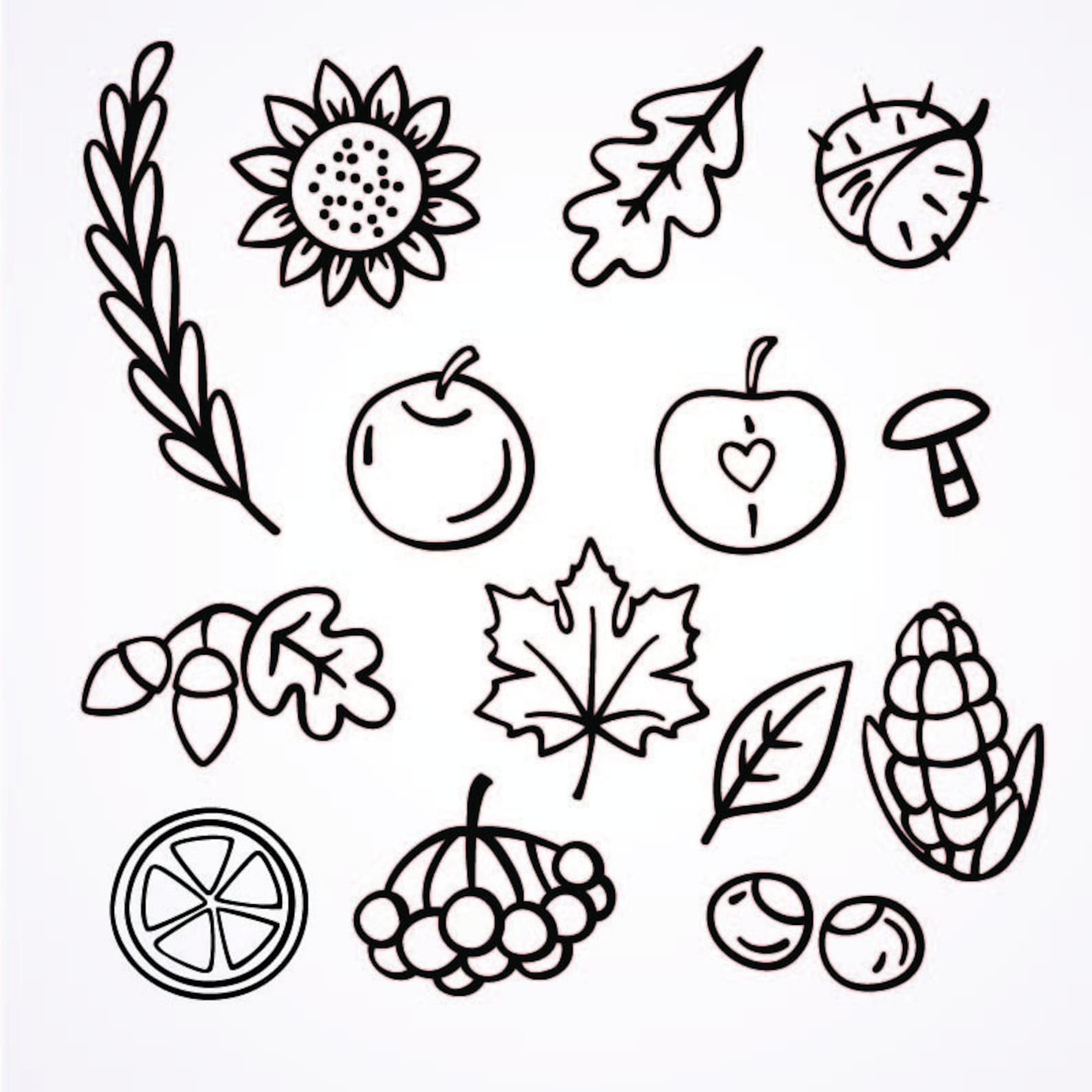 Hand-drawn Thanksgiving Clipart, 34 Separete Images, PNG,SVG,EPS ...