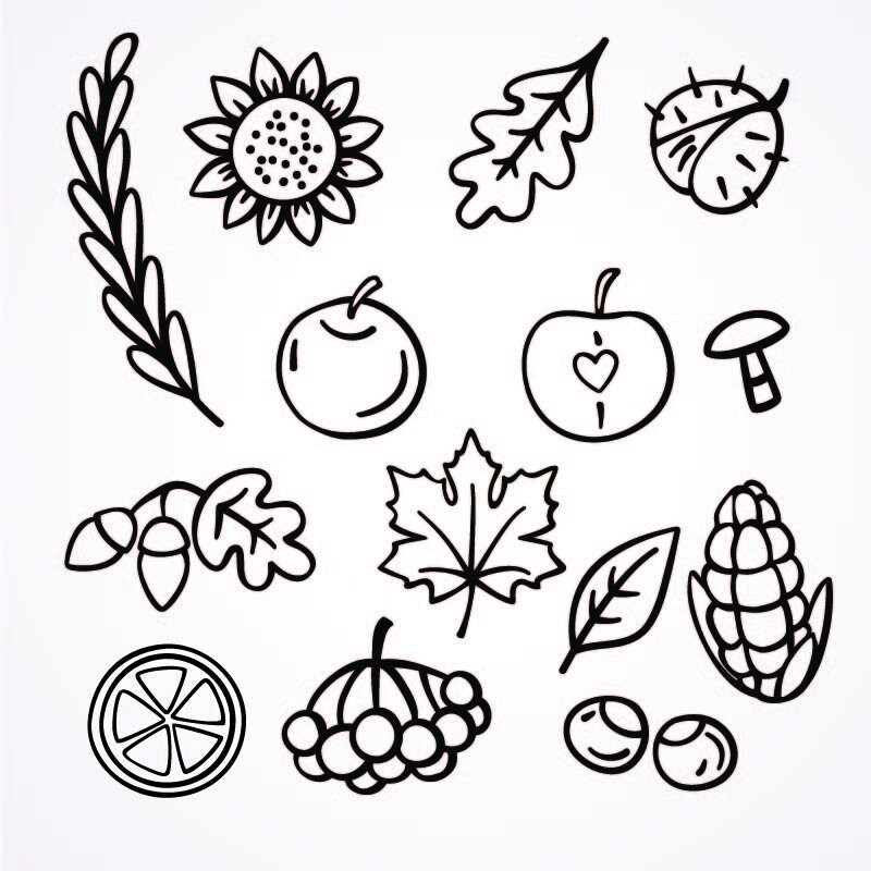 Hand-drawn Thanksgiving Clipart, 34 Separete Images, PNG,SVG,EPS ...