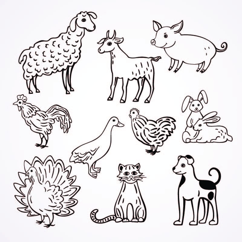 Hand-drawn Farm Clipart, Farm Animals Clipart, 37 Separete Images ...