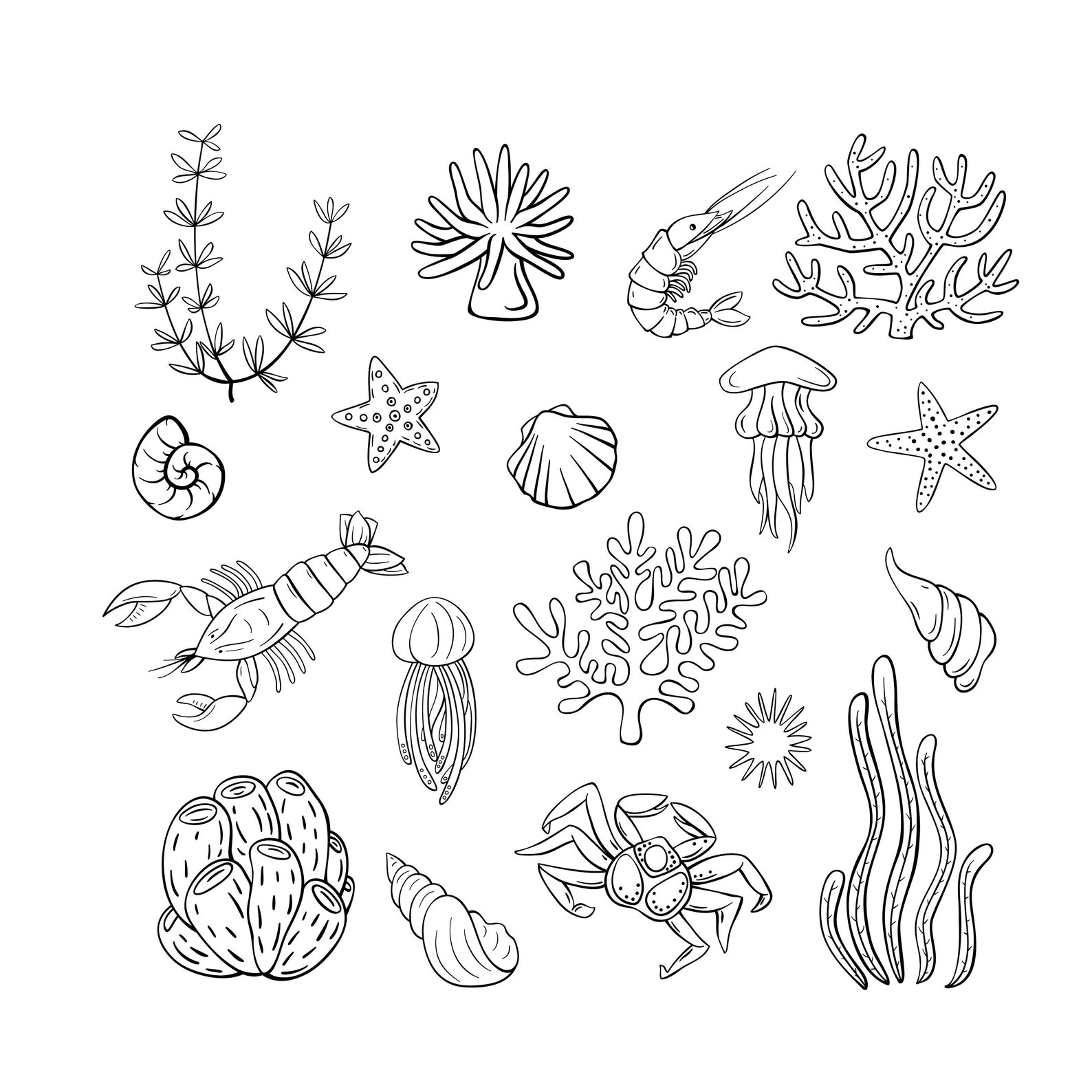 Hand-drawn "sea Life" Clipart,svg Sea Animals Clipart,png Ocean Life ...