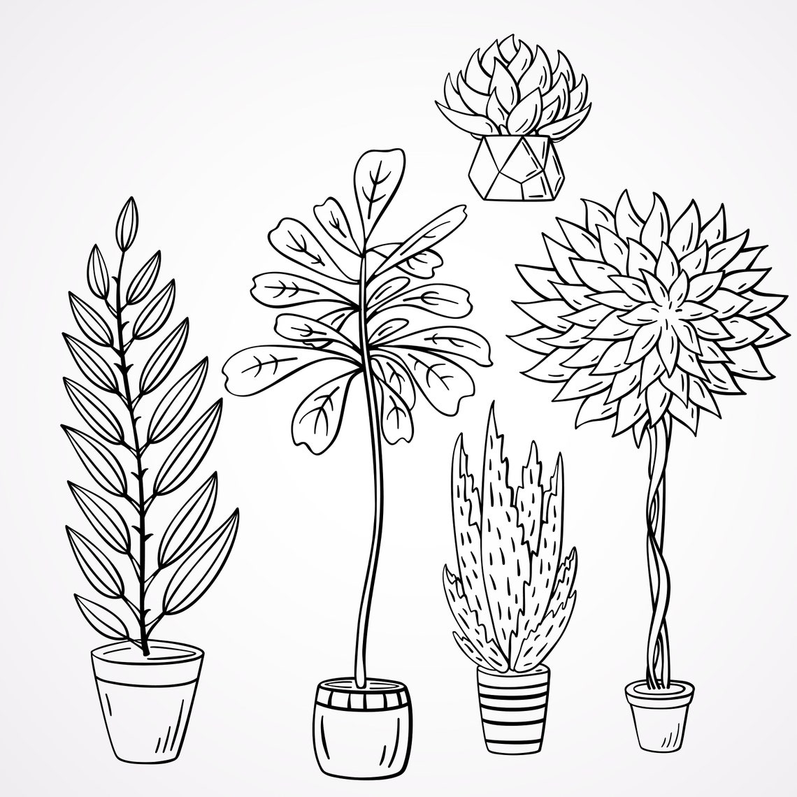 Hand-drawn "house Plants "clipart, SVG Plants Clipart,png Plants ...