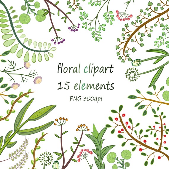 Botanical Hand-drawn 15 PNG Clipart | Etsy