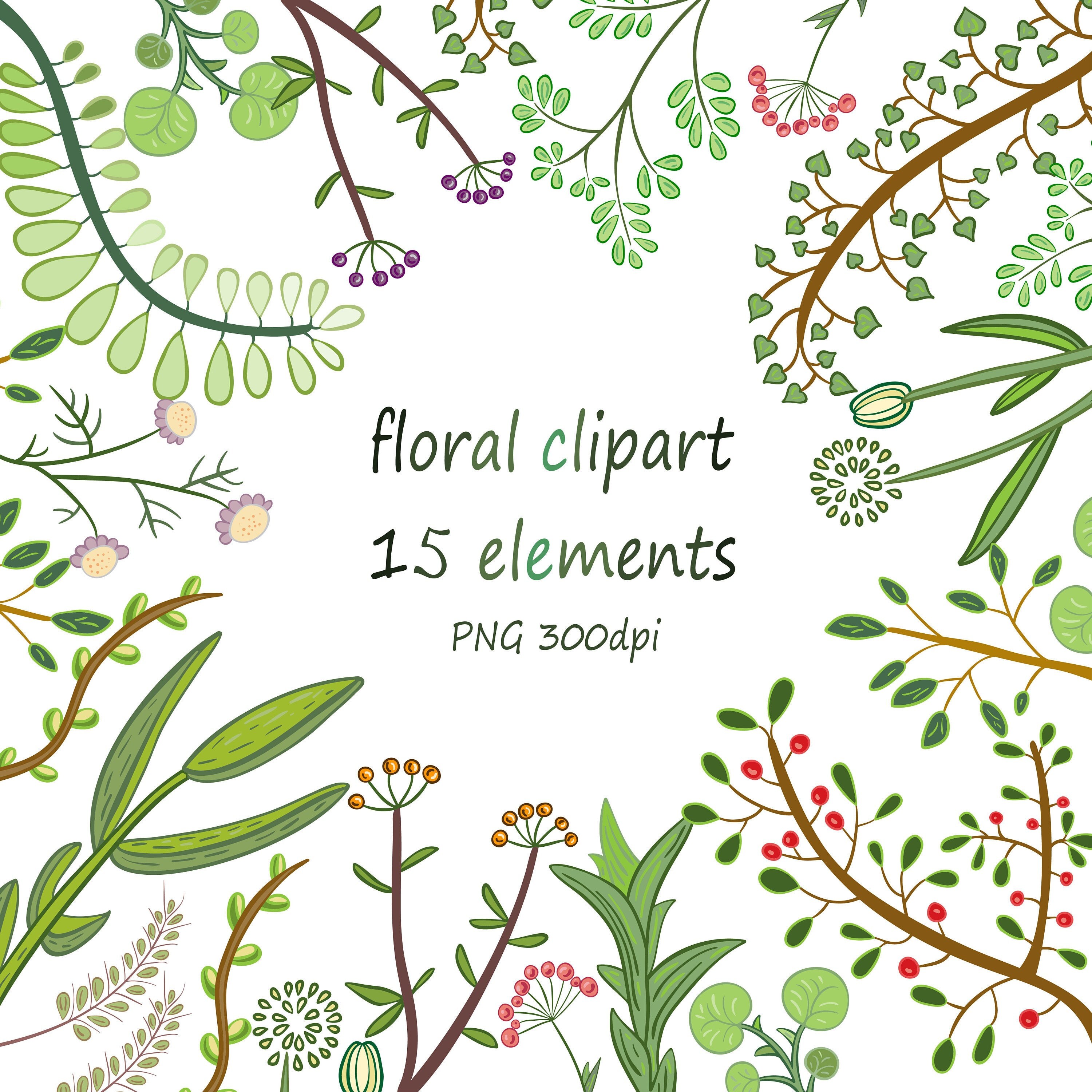 Botanical Hand-drawn 15 PNG Clipart Illustration,leaves,herbs,branches ...