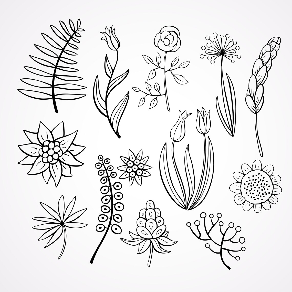 Set of 50 Doodle Botanical Elements, SVG Floral Clipart,png Doodle ...