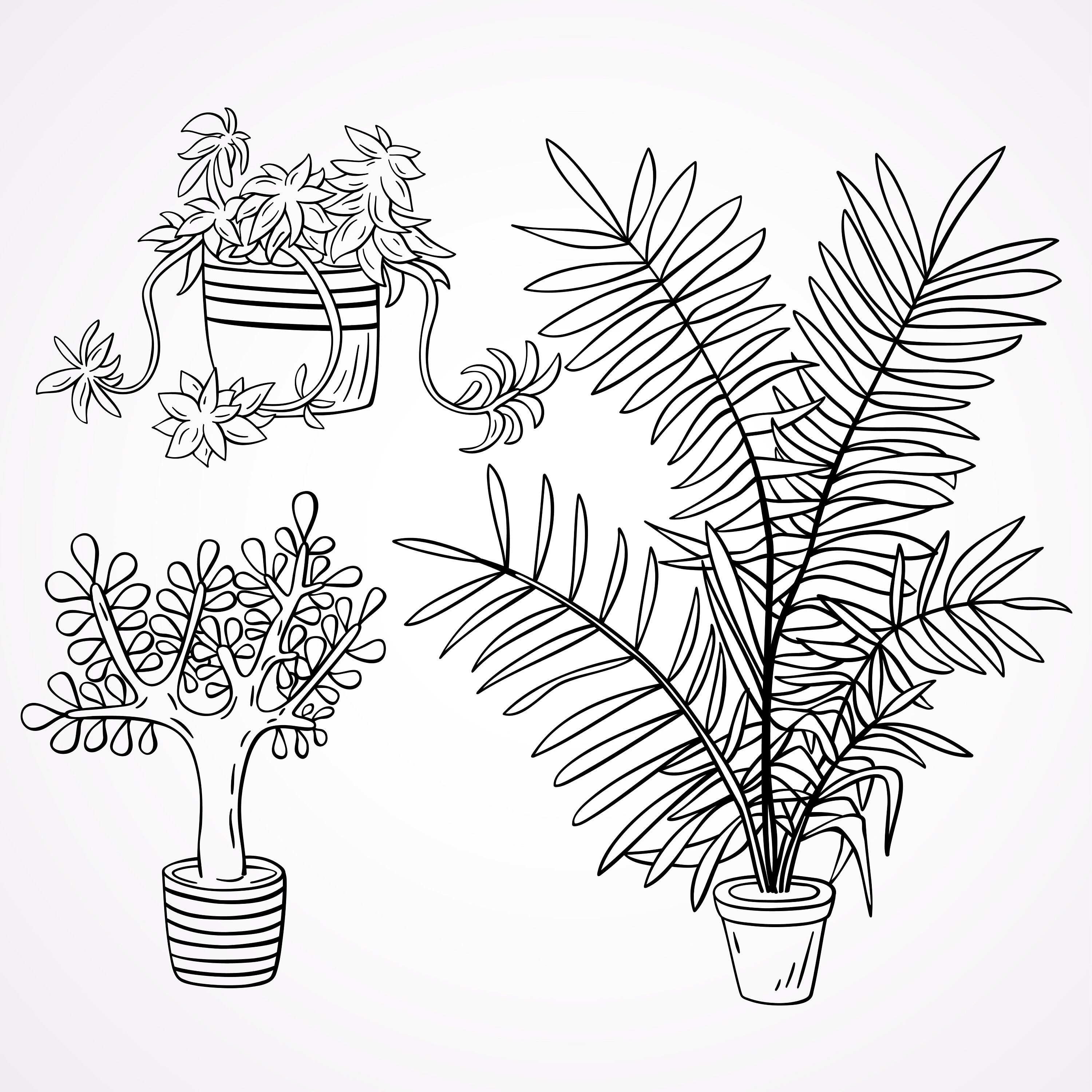 Hand-drawn "house Plants "clipart, SVG Plants Clipart,png Plants ...
