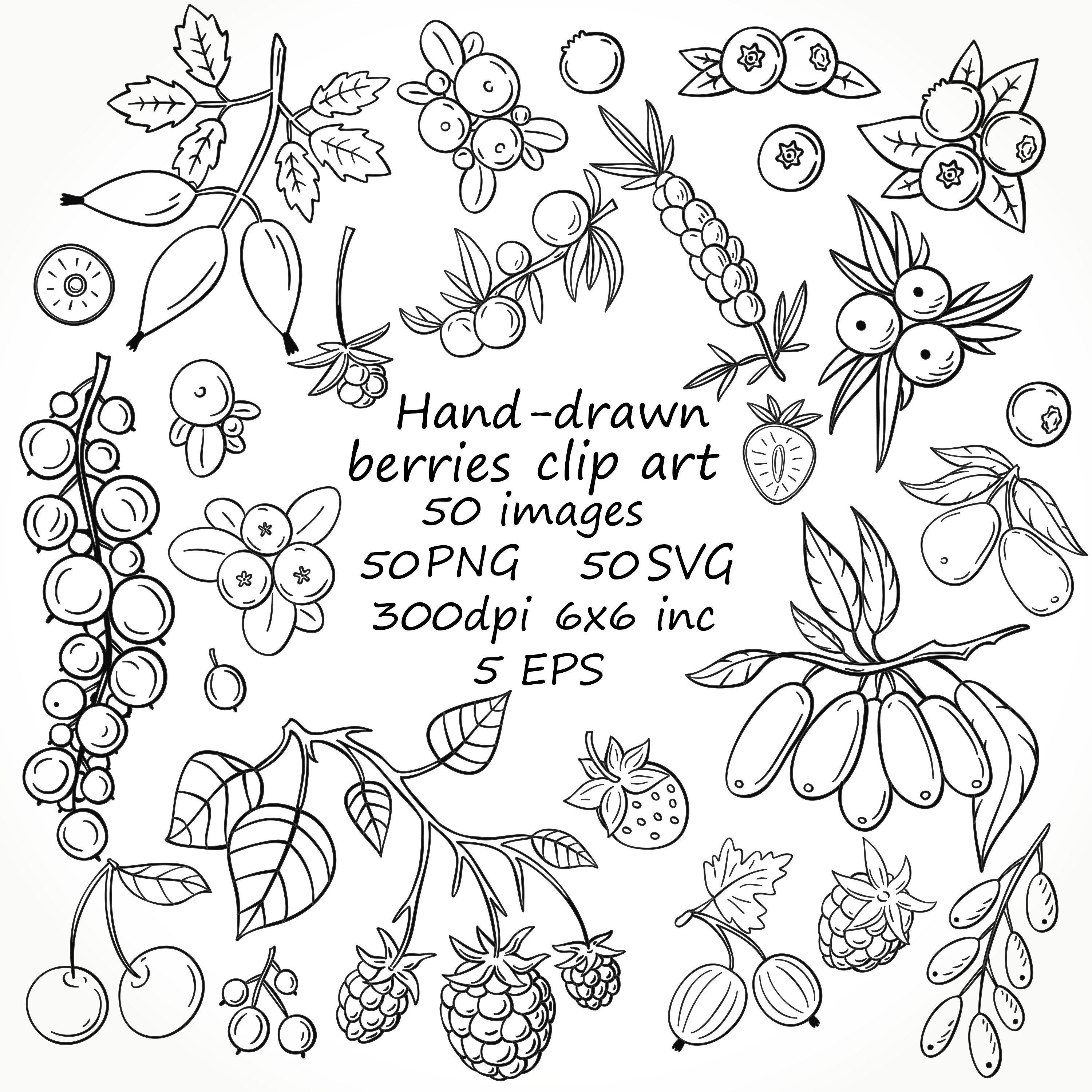 Set of 50 Hand-drawn Berries,png Berries Clipart, SVG Berries Clipart ...