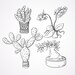 Hand-drawn house Plants clipart, SVG Plants Clipart,png Plants Clipart ...