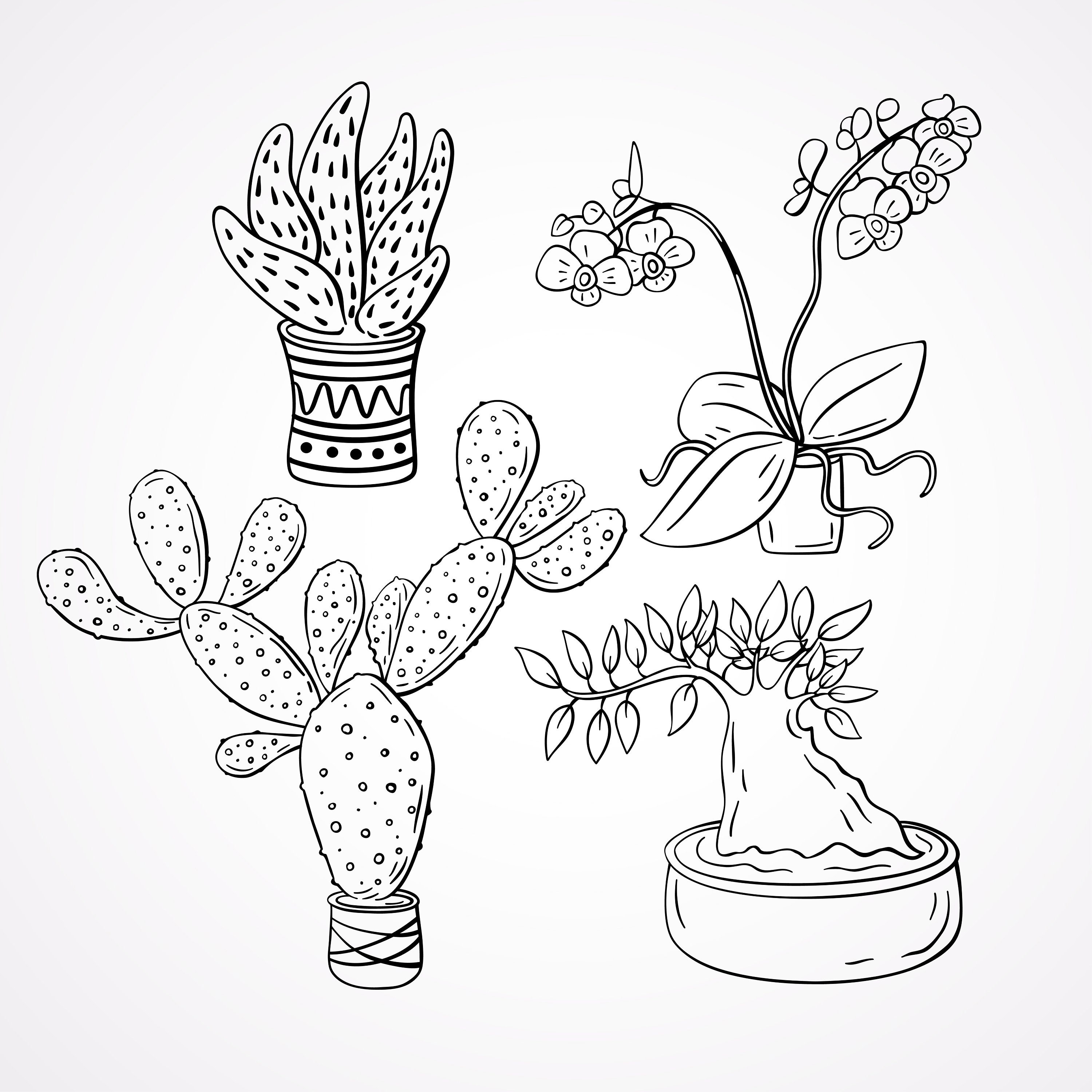 Hand-drawn "house Plants "clipart, SVG Plants Clipart,png Plants ...