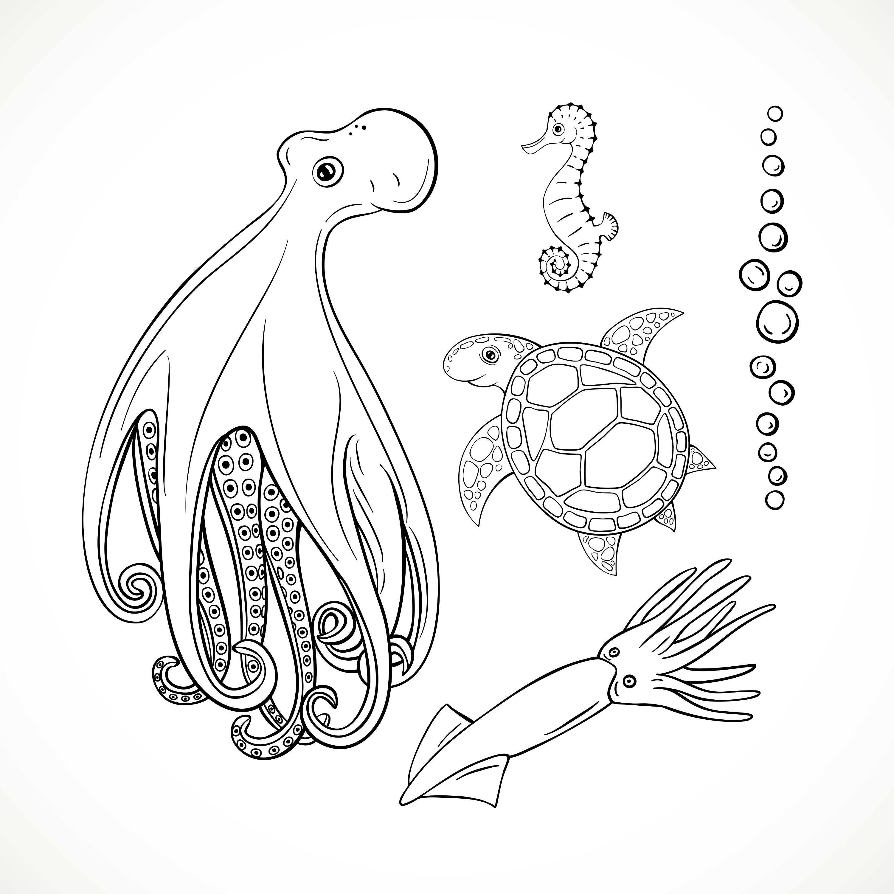 Hand-drawn "sea Life" Clipart,svg Sea Animals Clipart,png Ocean Life ...