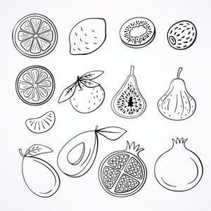 Hand-drawn Fruits Clipart, 57 Separate Images Fruits SVG,PNG,EPS ...