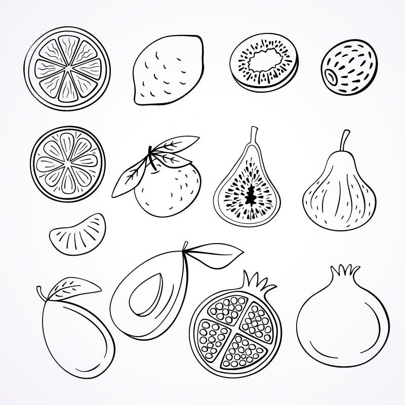 Hand-drawn Fruits Clipart, 57 Separate Images Fruits SVG,PNG,EPS ...