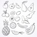 Hand-drawn Fruits Clipart, 57 Separate Images Fruits SVG,PNG,EPS ...
