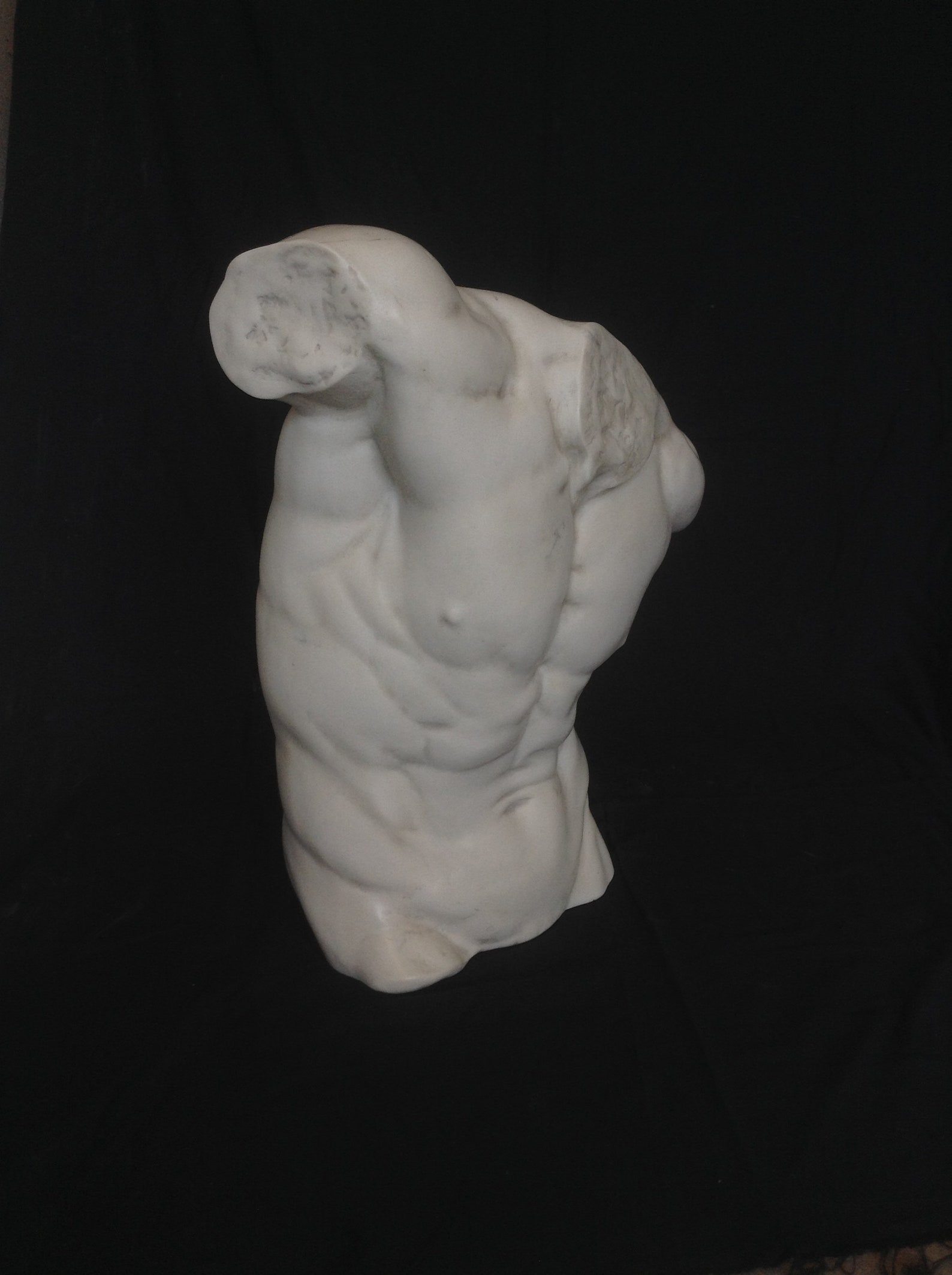 Large Male Torso - Etsy
