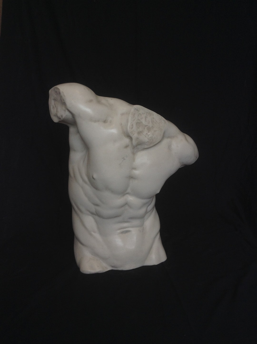 Large Male Torso - Etsy