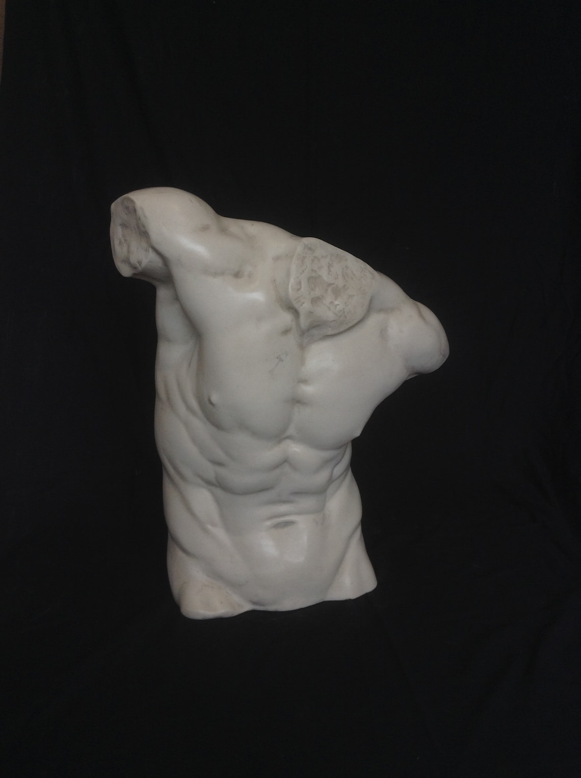 Large Male Torso - Etsy