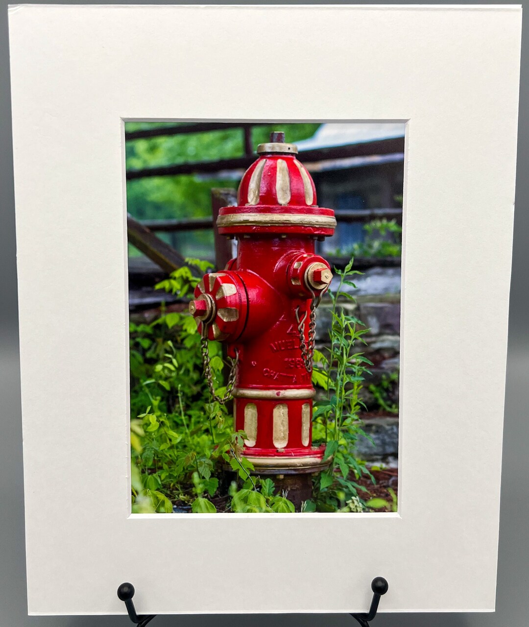 Red Gold Fire Hydrant Dogpatch USA Matted Print - Etsy