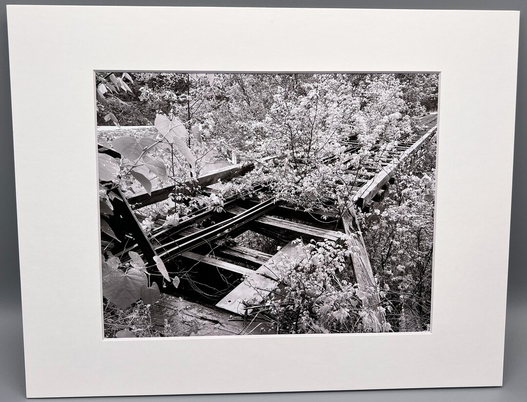 Where Did It Go? Dogpatch USA Matted Print - Etsy