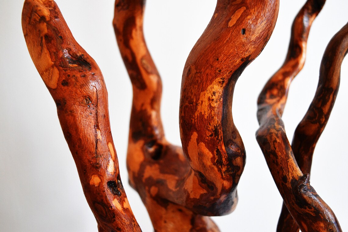 Tree Root Sculpture Wood Sculpture Unique Root Decoration Rustic Wood ...