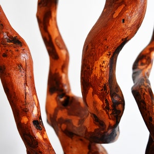 Tree Root Sculpture Wood Sculpture Unique Root Decoration Rustic Wood ...